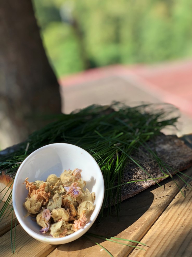 Hatmi Çiçeği Faydaları (Tarifli Anlatım) - Uzmanlar Diyor Ki