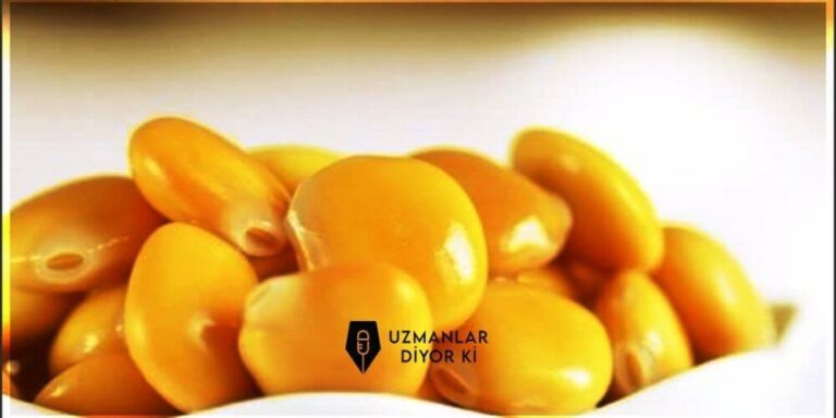 Termiyenin Faydaları Nelerdir? - Uzmanlar Diyor Ki
