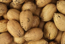 Pikan: Sağlığınıza Tatlı Destek - Uzmanlar Diyor Ki