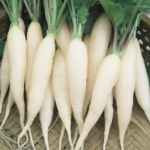 Turp: Antioksidan Dolu Küçük Kök - Uzmanlar Diyor Ki