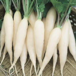 Turp: Antioksidan Dolu Küçük Kök - Uzmanlar Diyor Ki